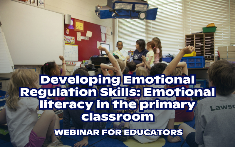 Developing Emotional Regulation Skills: Emotional literacy in the ...